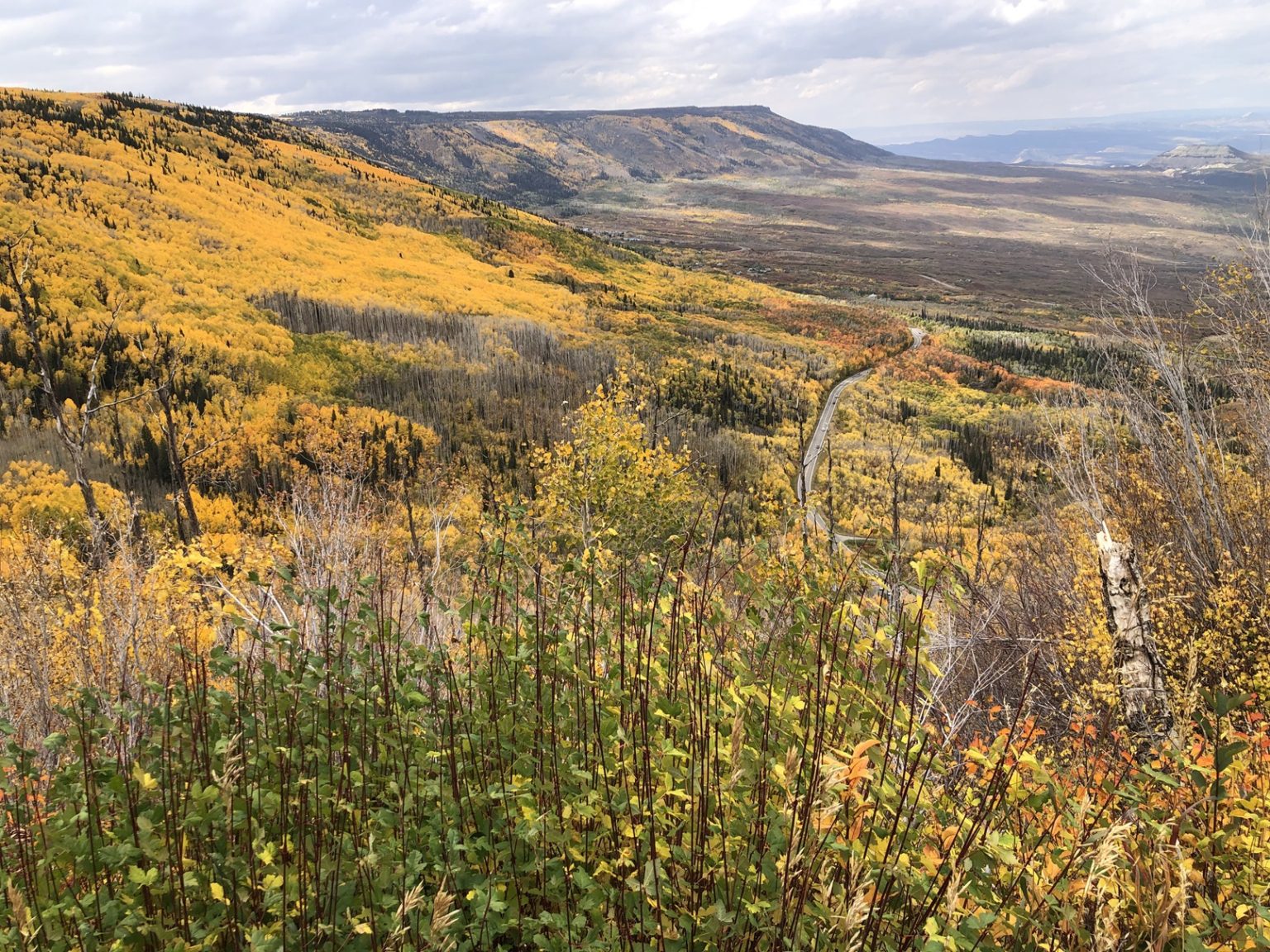 Two-Day Itinerary for Grand Junction Visit - Move to Grand Junction CO