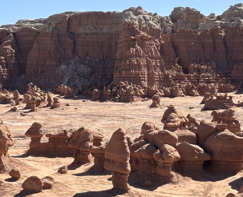 Home - Move to Grand Junction CO